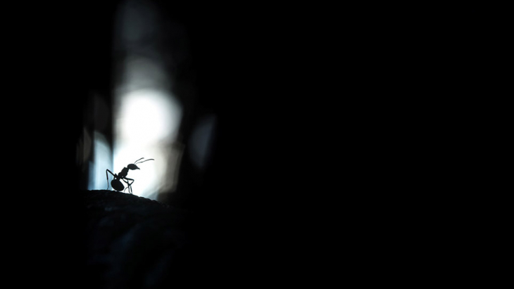 Leon Baas - Shooting - PHTutorials